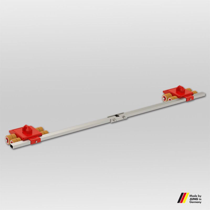 Professional transportation of containers with the tandem trolley JFB ...